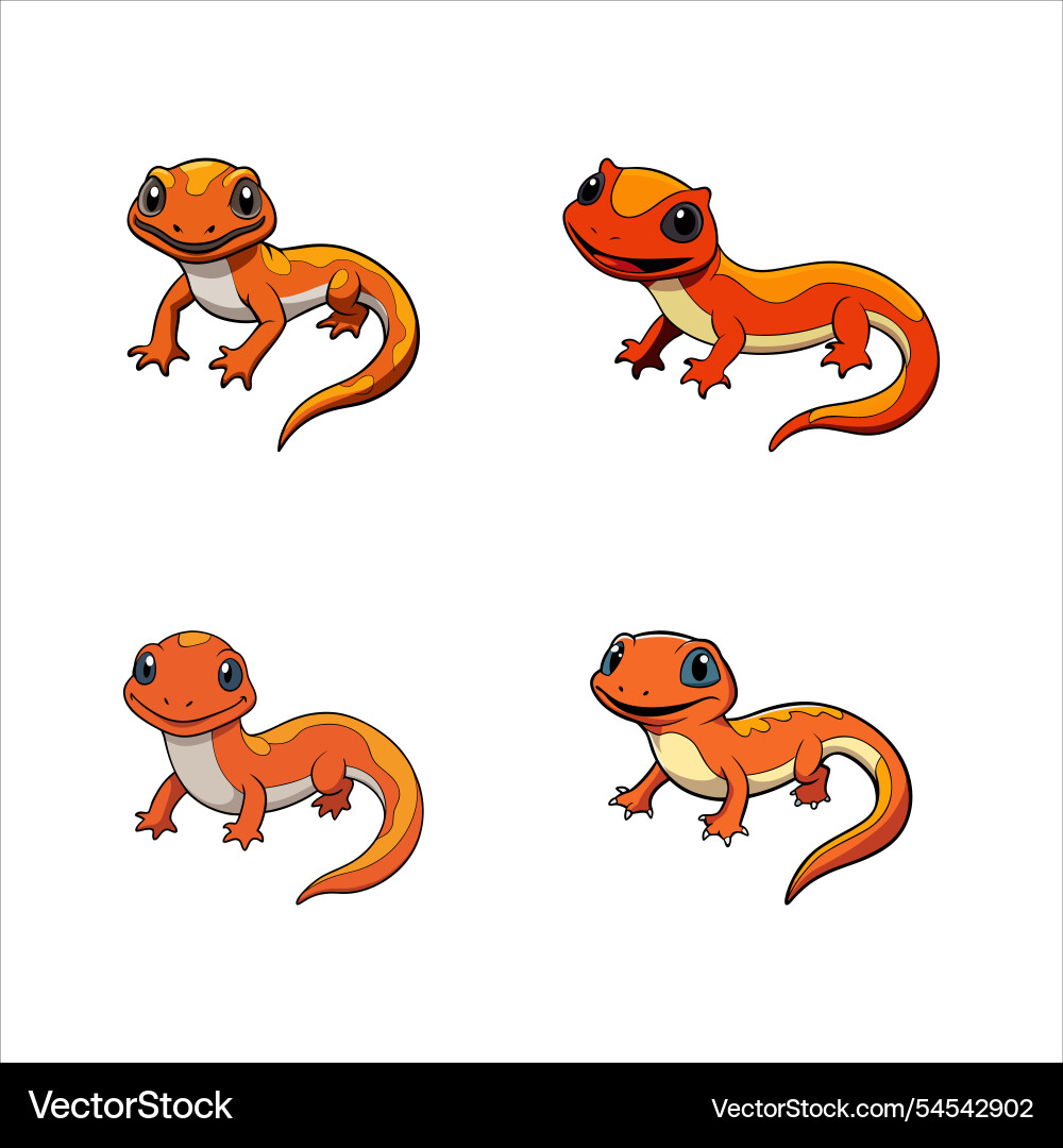 Salamander Royalty Free Vector Image - VectorStock