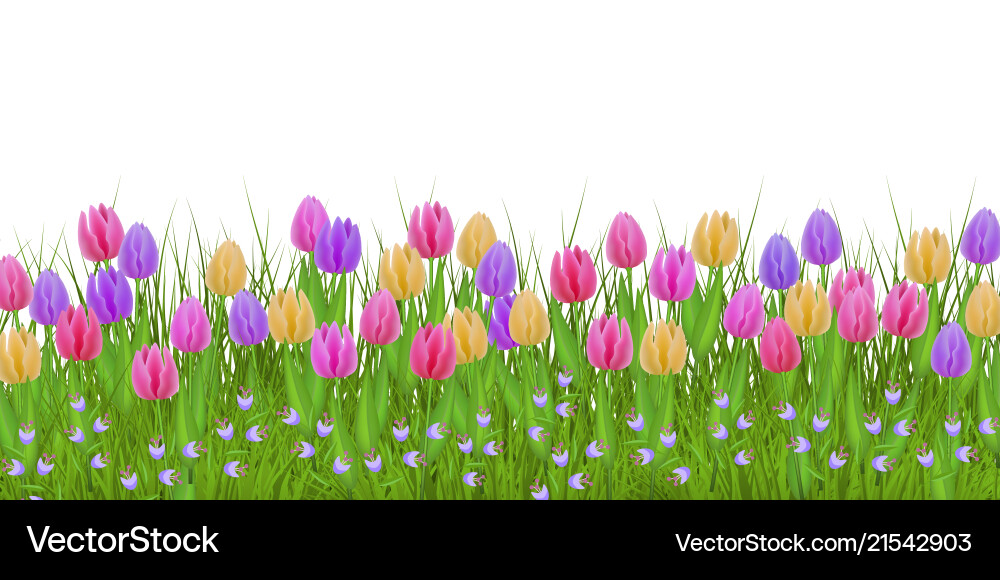 Grün Gras Tulpe Blumen Rand Rahmen Lizenzfreier Vektor