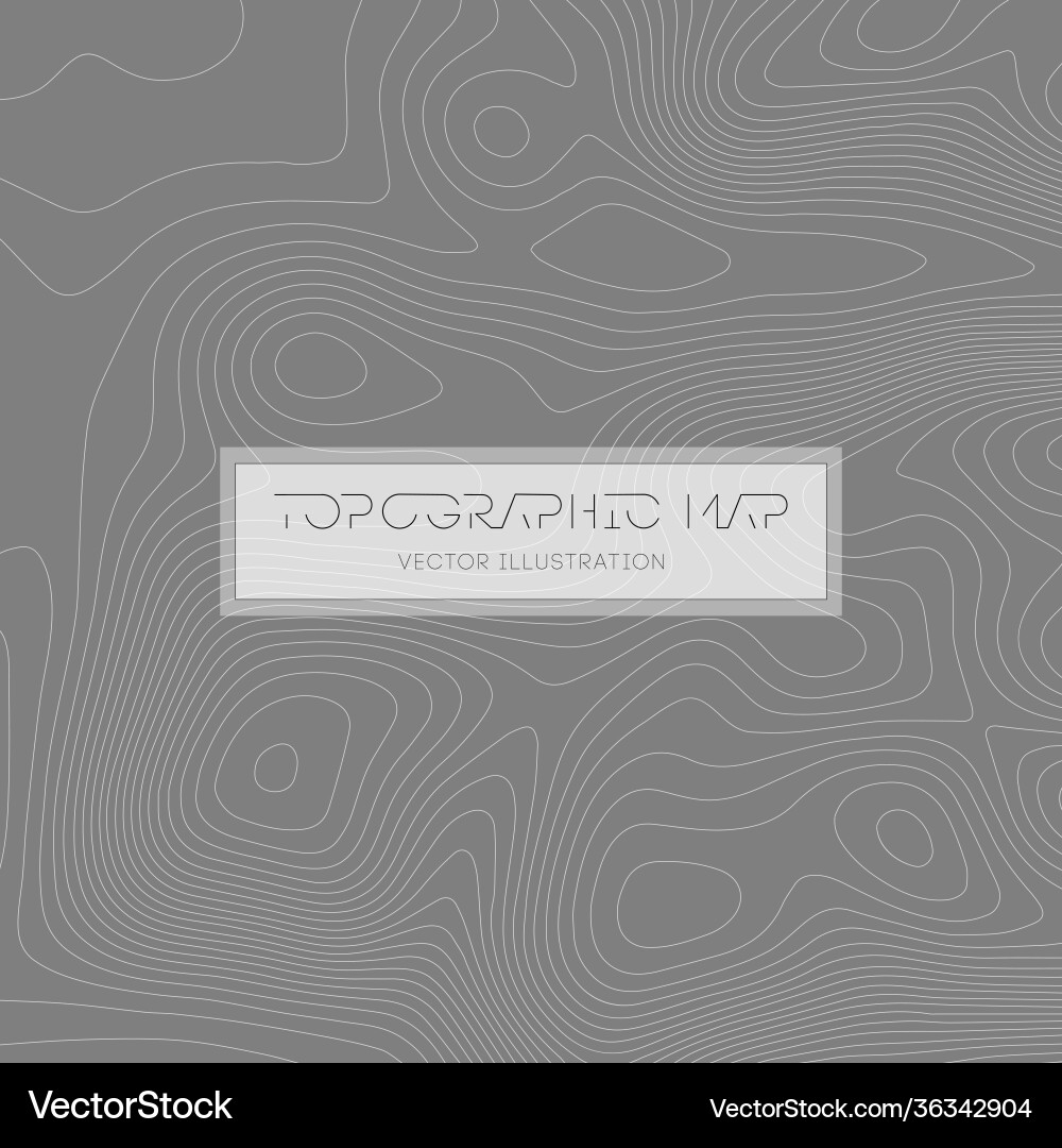 Abstract paper cut shapes topographic map Vector Image