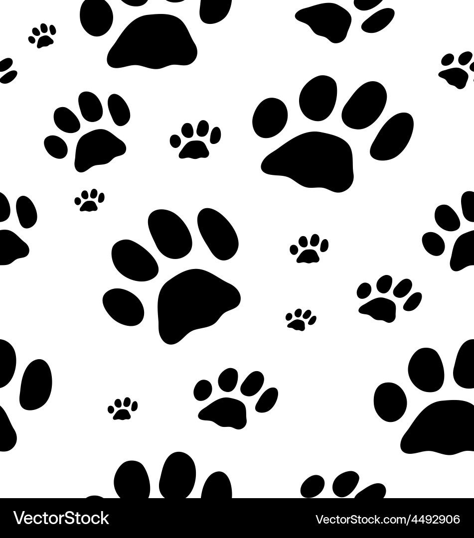 Trace of cats Royalty Free Vector Image - VectorStock