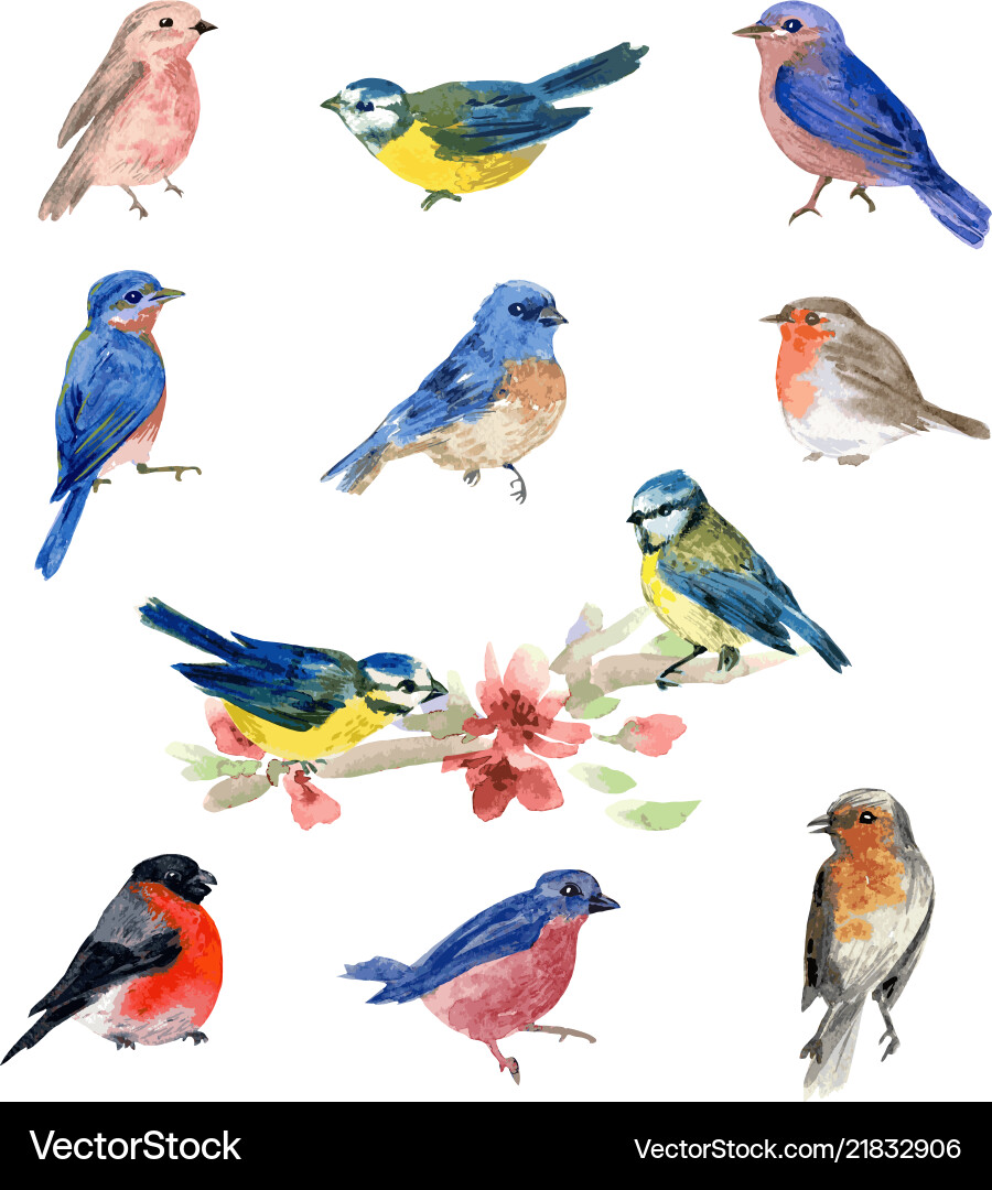 Birds Vector Images (over 620,000)