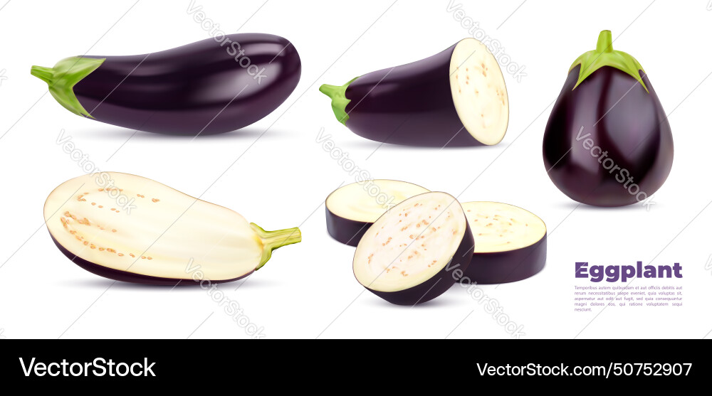 Realistic eggplant vegetable slices and rings Vector Image