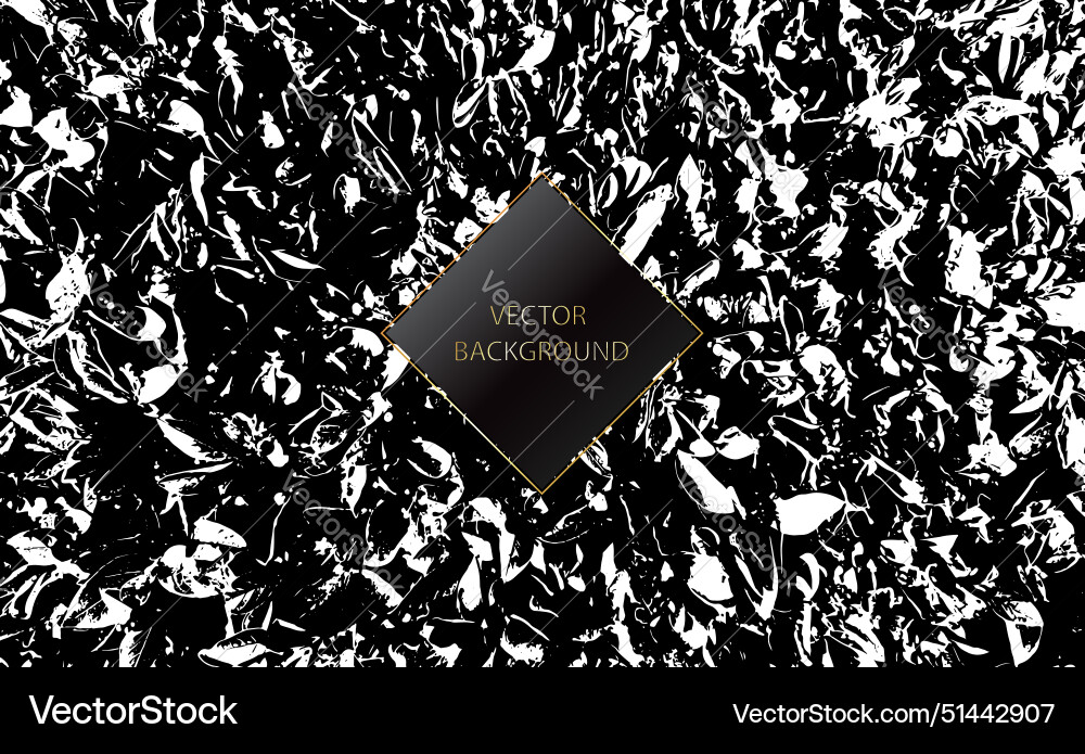Unique abstract background black white random Vector Image