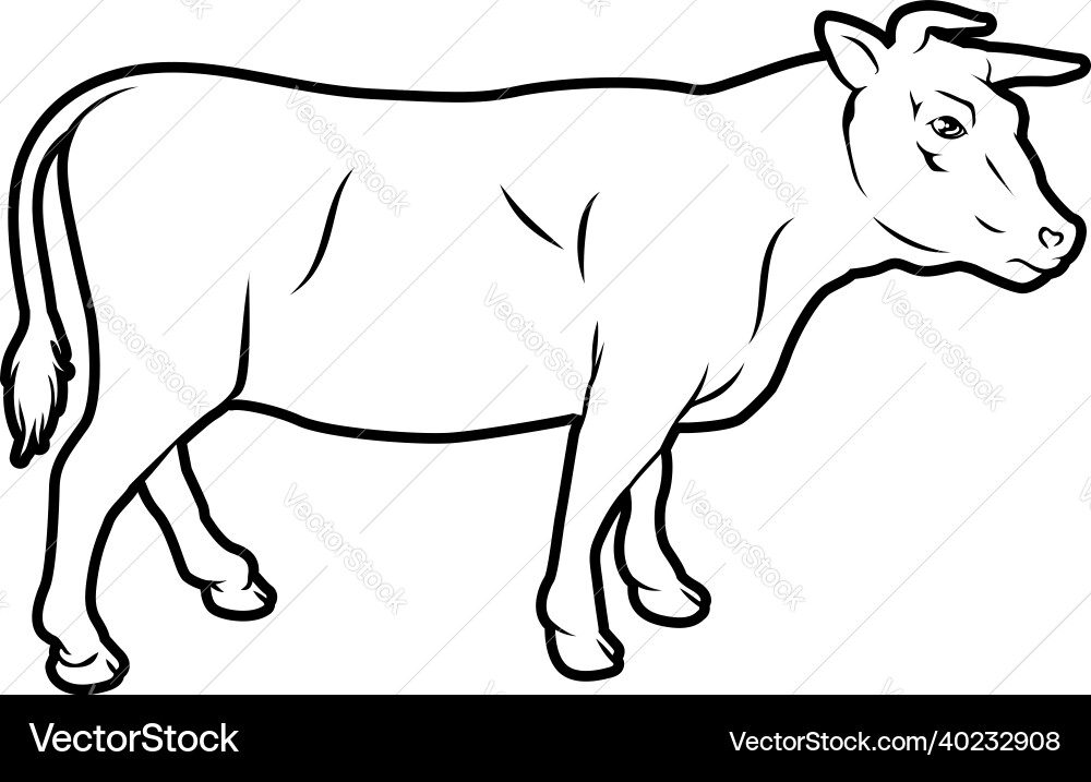 Beef cow Royalty Free Vector Image - VectorStock