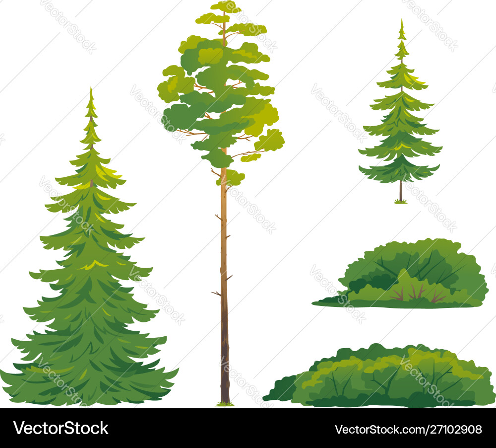 Set forest trees isolated Royalty Free Vector Image