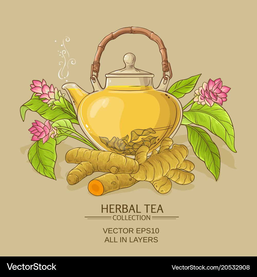 Turmeric tea Royalty Free Vector Image - VectorStock