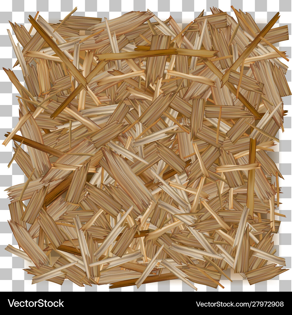 Wood pressed wooden panel osb board Royalty Free Vector