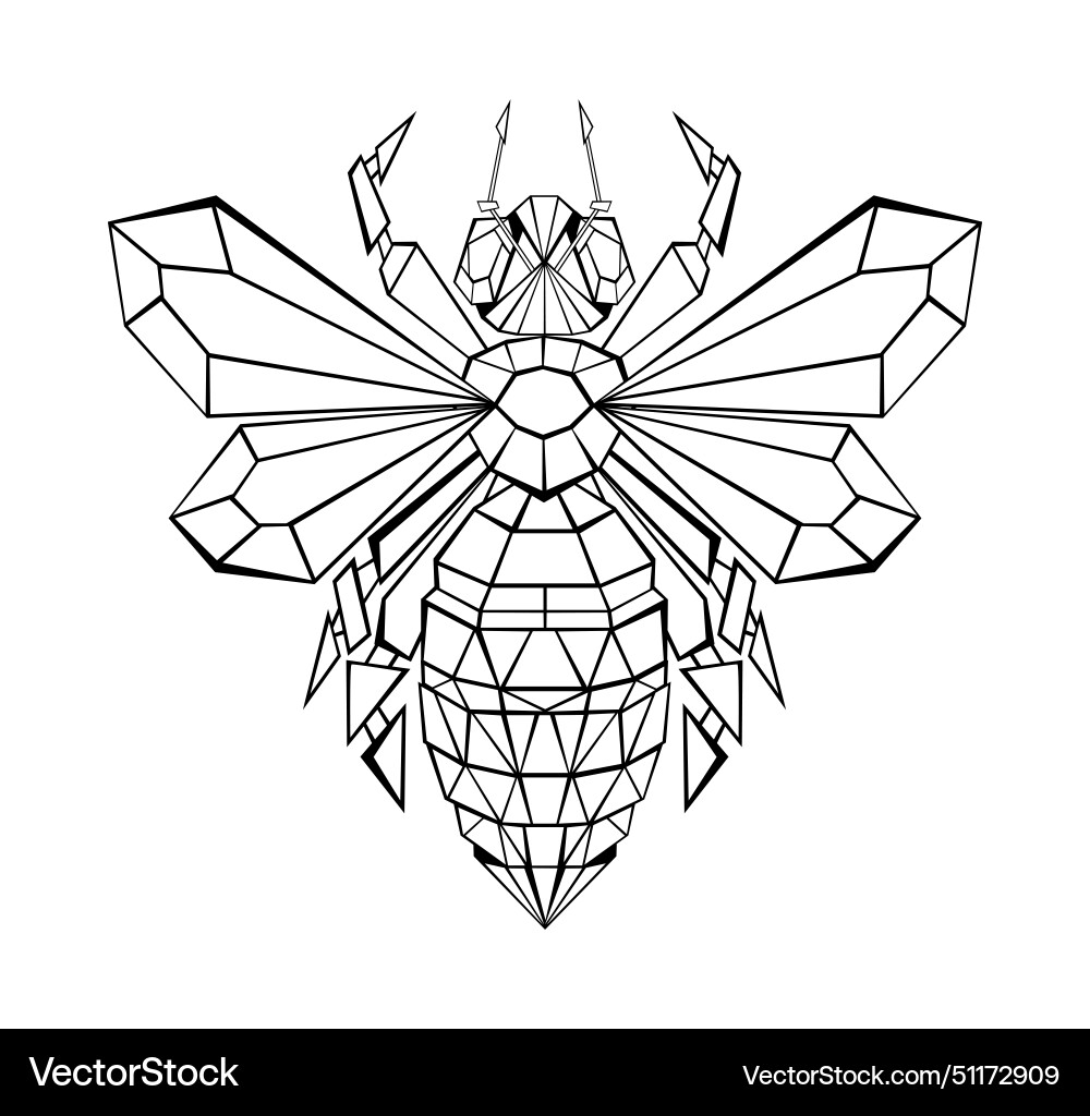 Polygonal bee Royalty Free Vector Image - VectorStock