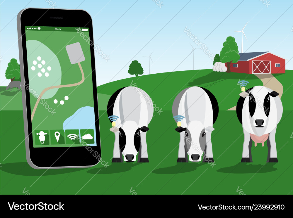 Control of a herd cows Royalty Free Vector Image