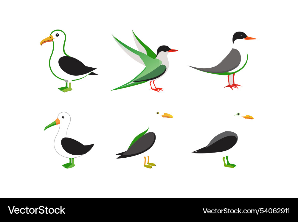 Albatross tern seagull birds icon art ima Vector Image