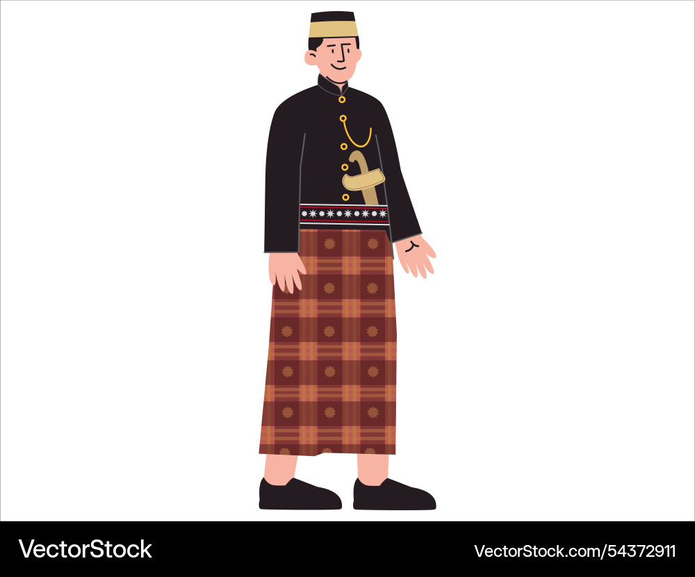 Bugis traditional clothing indonesia south Vector Image