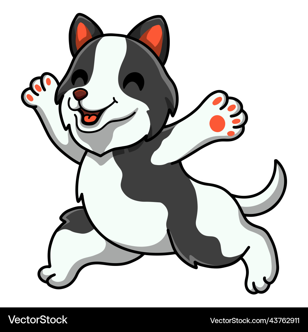 Cute border collie dog cartoon running Royalty Free Vector