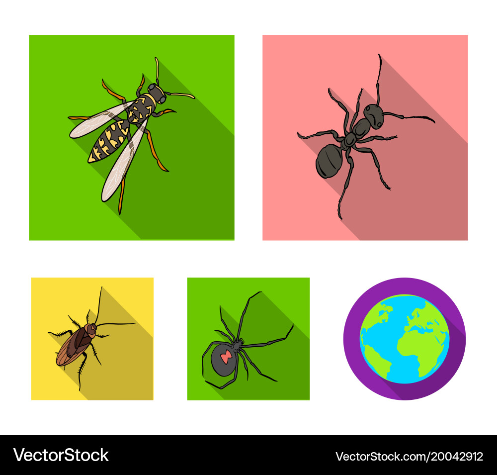 An insect arthropod osa a spider cockroach Vector Image