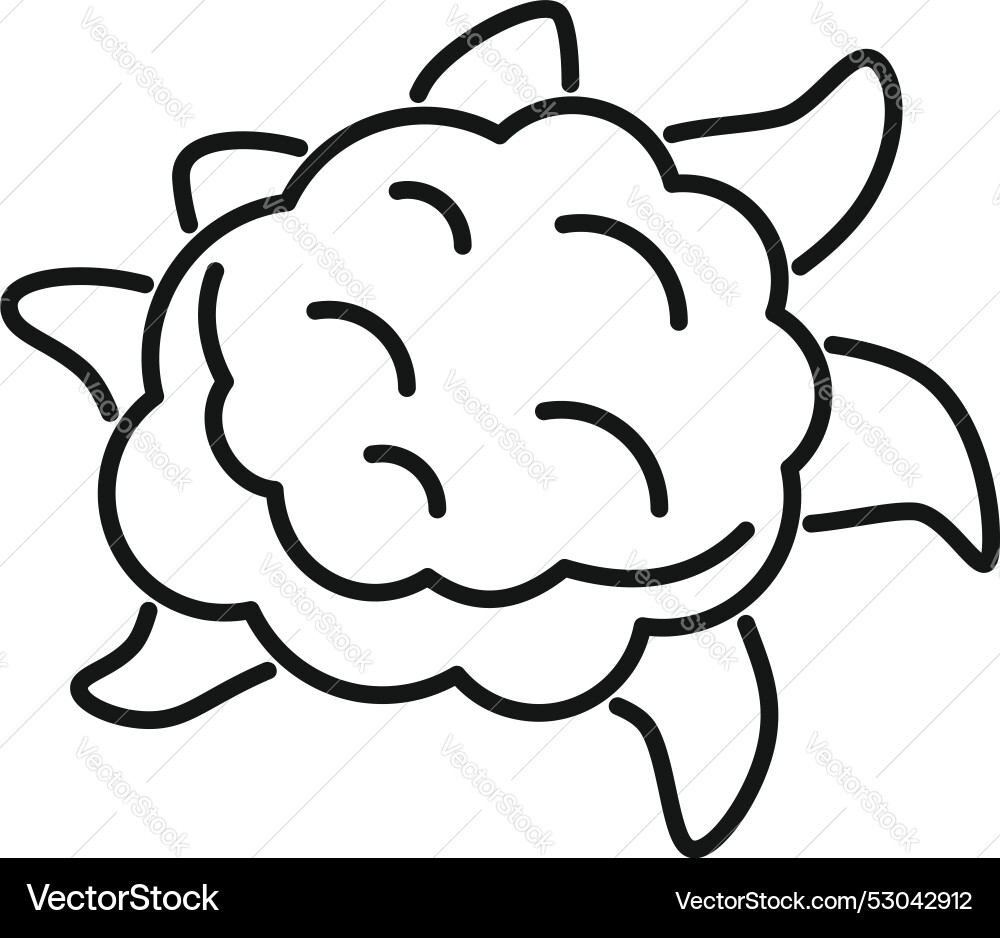 Brain cancer spreading showing using metaphor Vector Image