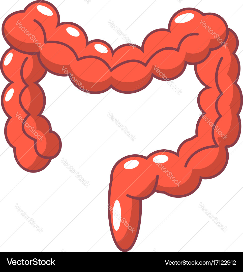 Large Intestine Cartoon
