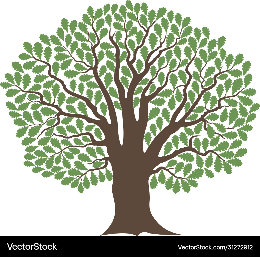 Oak tree Royalty Free Vector Image - VectorStock