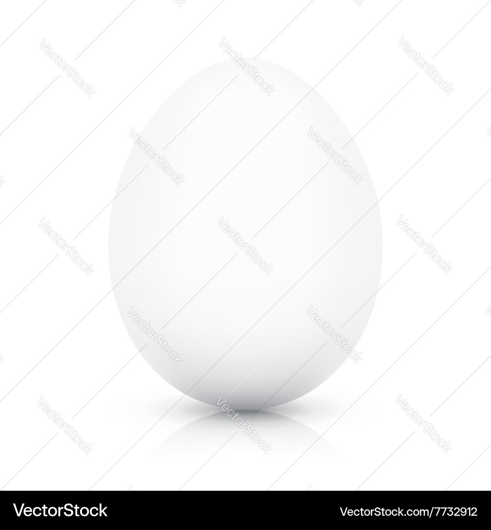 White egg Royalty Free Vector Image - VectorStock