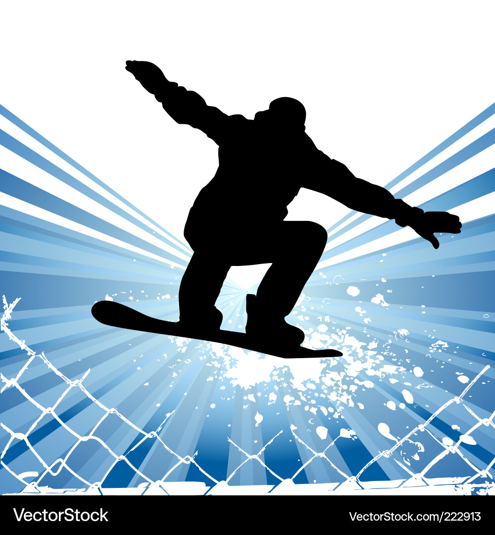 Skater Royalty Free Vector Image - VectorStock