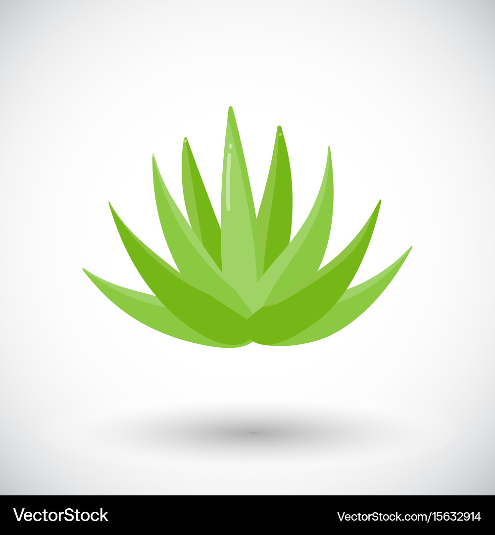 Agave plant flat icon Royalty Free Vector Image