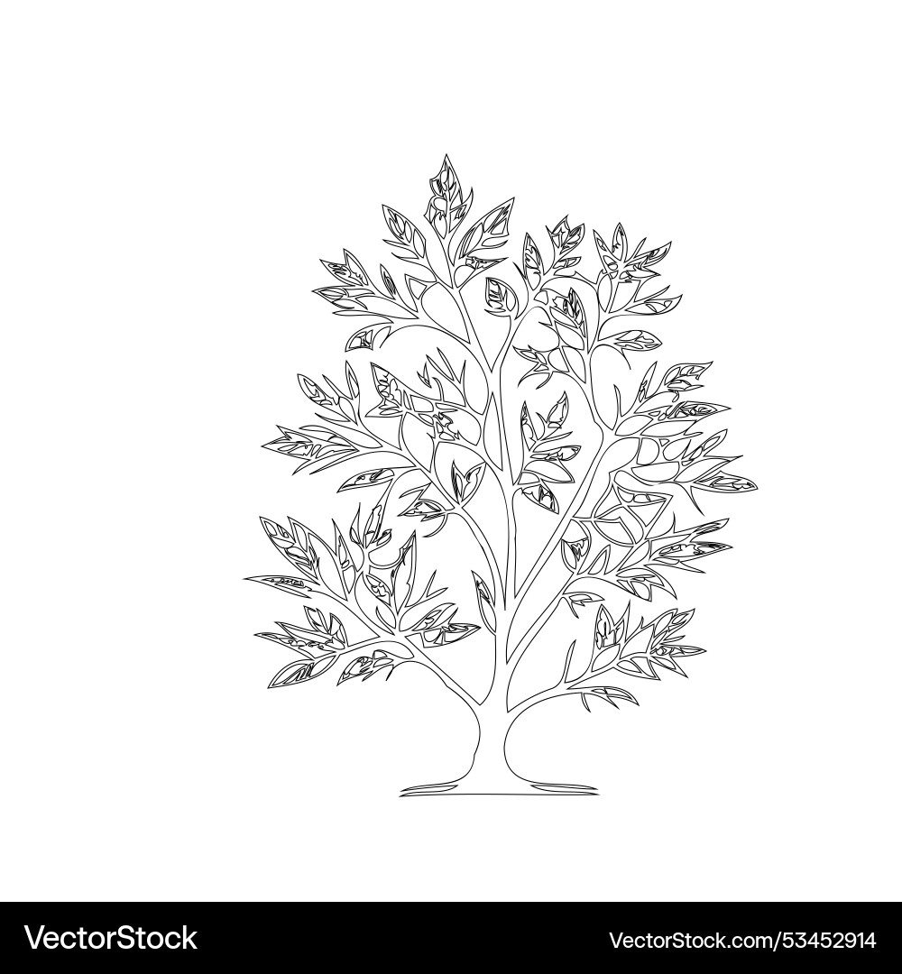 Maple tree nature outline sketch Royalty Free Vector Image