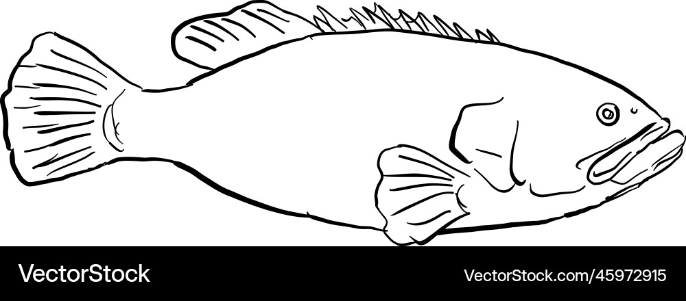 Giant grouper-hawaii-fish-dwg-bw-cut Royalty Free Vector