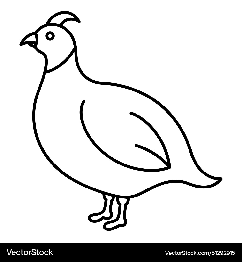 Quail side view on white Royalty Free Vector Image