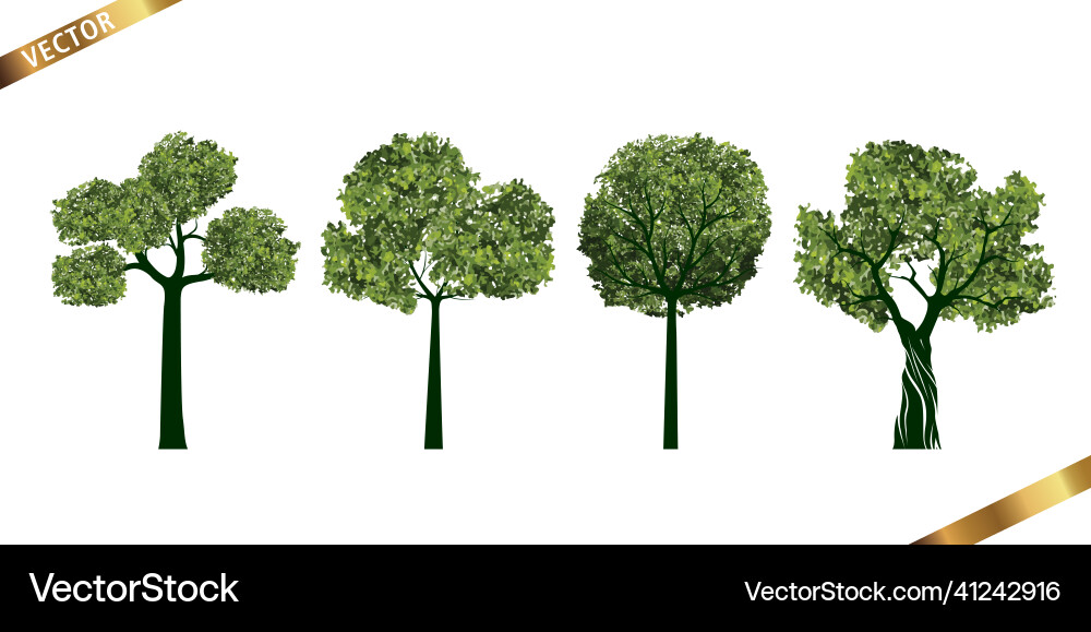 Collection of realistic trees Royalty Free Vector Image