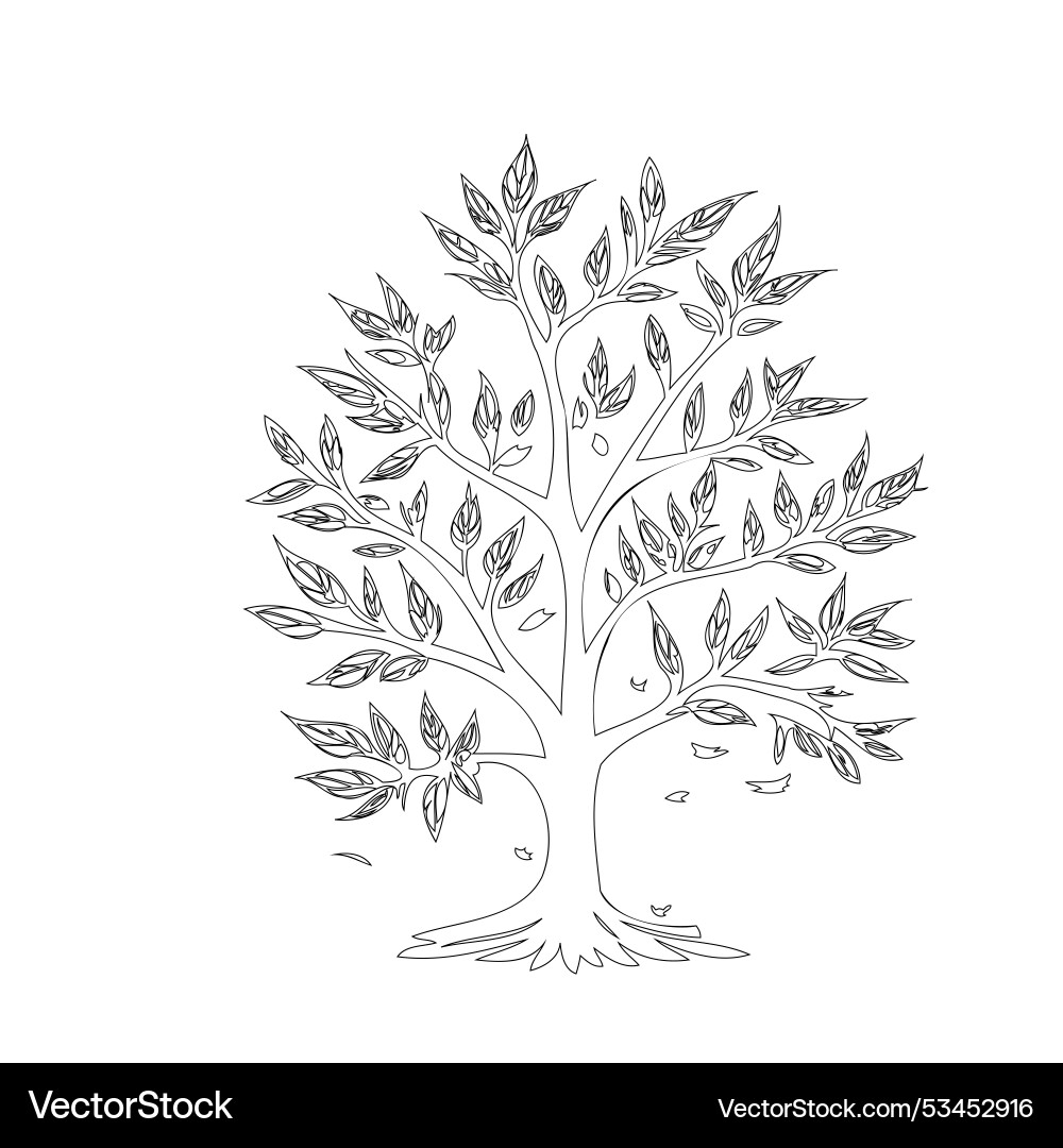 Maple tree nature outline sketch Royalty Free Vector Image