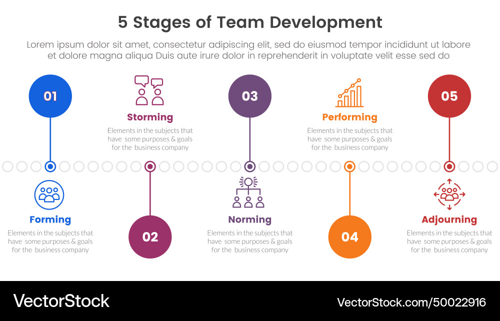 Team Development Stages Model – Royalty-Free Vector | VectorStock
