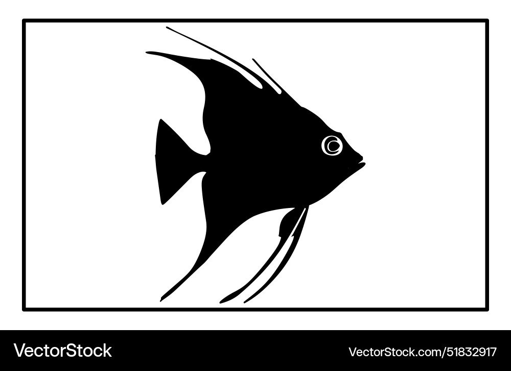Archer fish isolated on white background Vector Image
