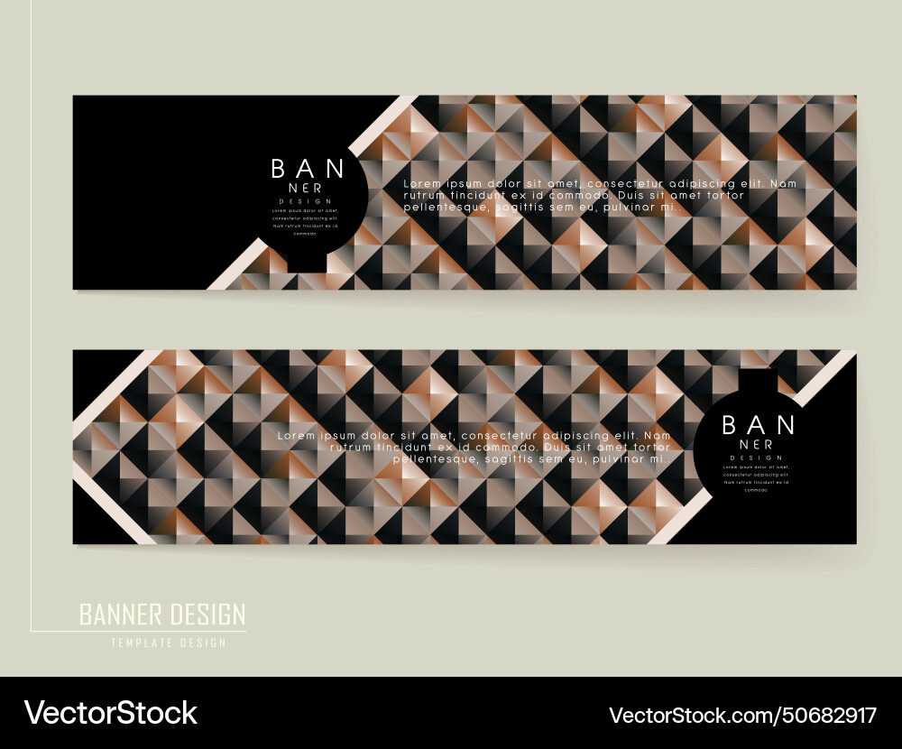 Modern banner template design Royalty Free Vector Image