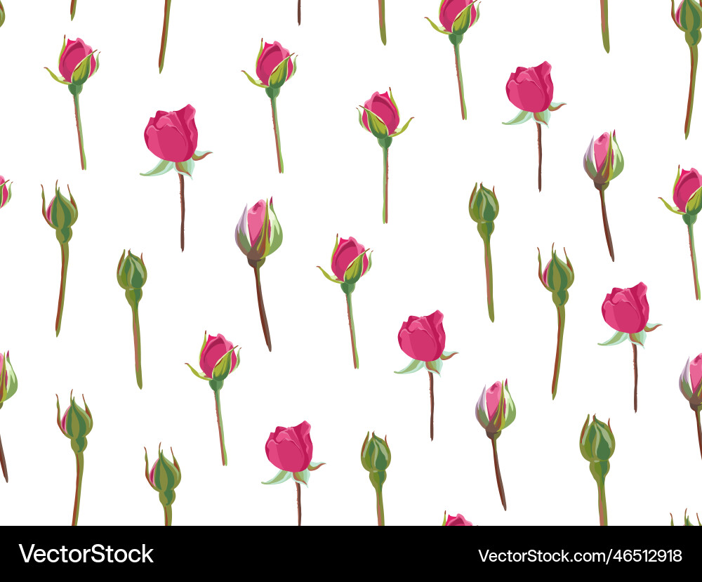Roses buds and stems floral seamless pattern Vector Image