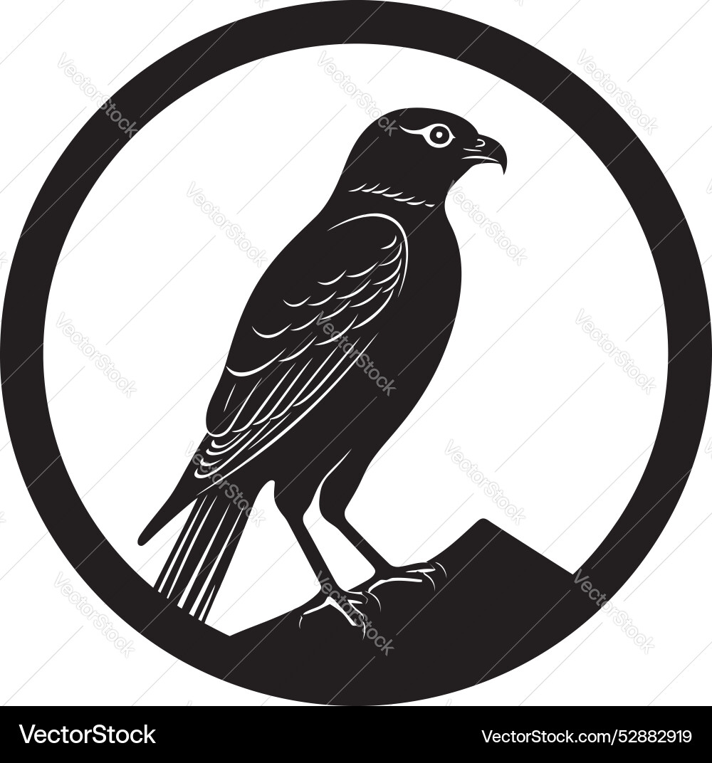 Artistic predatory symbol raptors elegance Vector Image