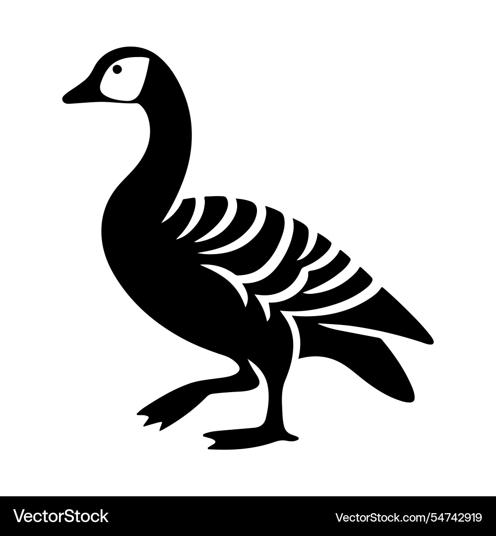 Barnacle goose silhouette - perfect for graphic Vector Image