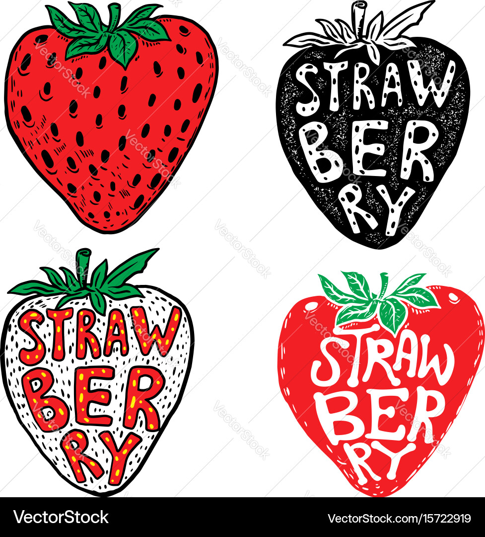 Hand drawn fresh strawberry labels isolated Vector Image
