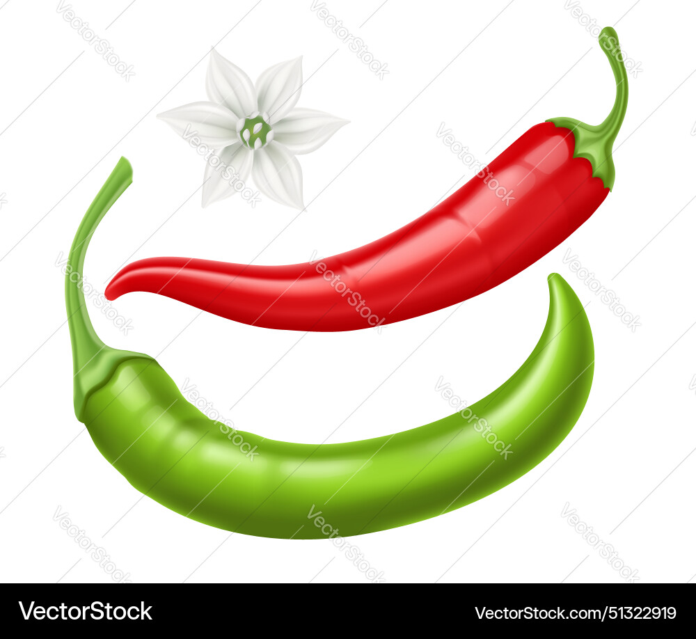 Red and green hot chili pepper Royalty Free Vector Image