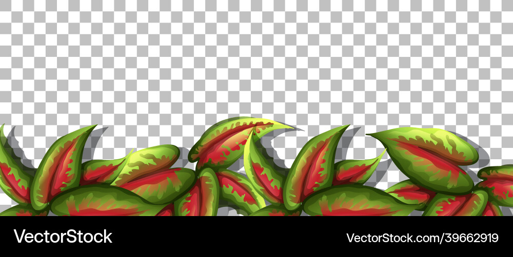 Red nature leaves frame transparent background Vector Image