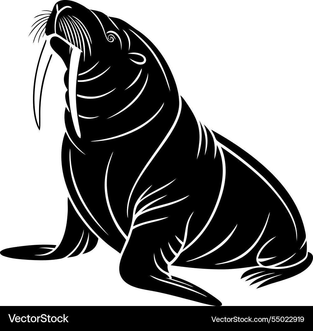 Walrus Royalty Free Vector Image - VectorStock