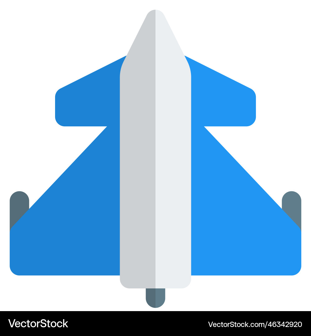 Fighter jet with fixed wings Royalty Free Vector Image