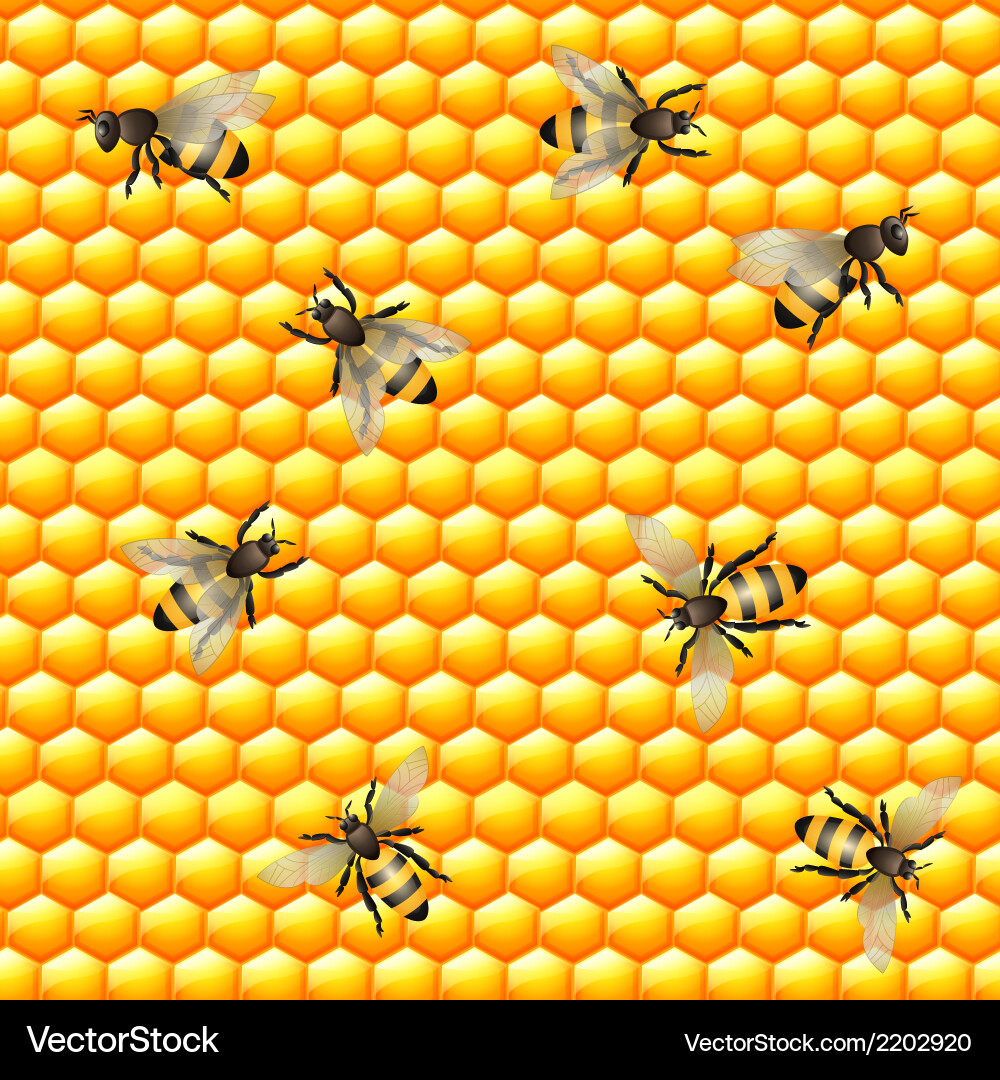 Honey bee seamless pattern Royalty Free Vector Image