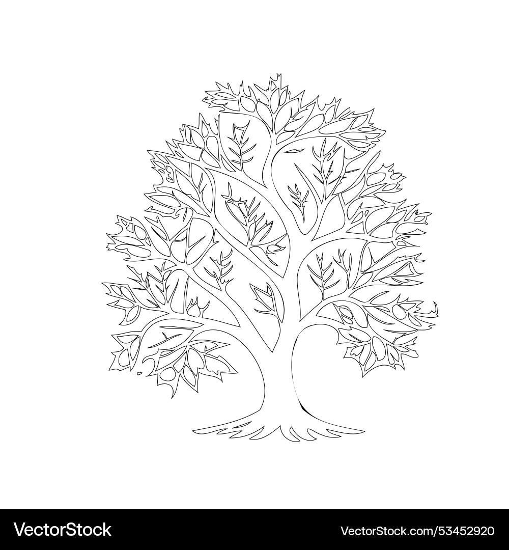 Maple tree nature outline sketch Royalty Free Vector Image