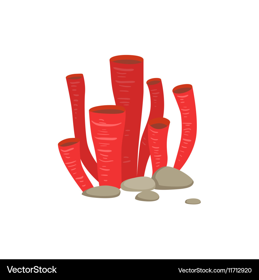 Red Coral Reef Tube Royalty Free Vector Image - VectorStock