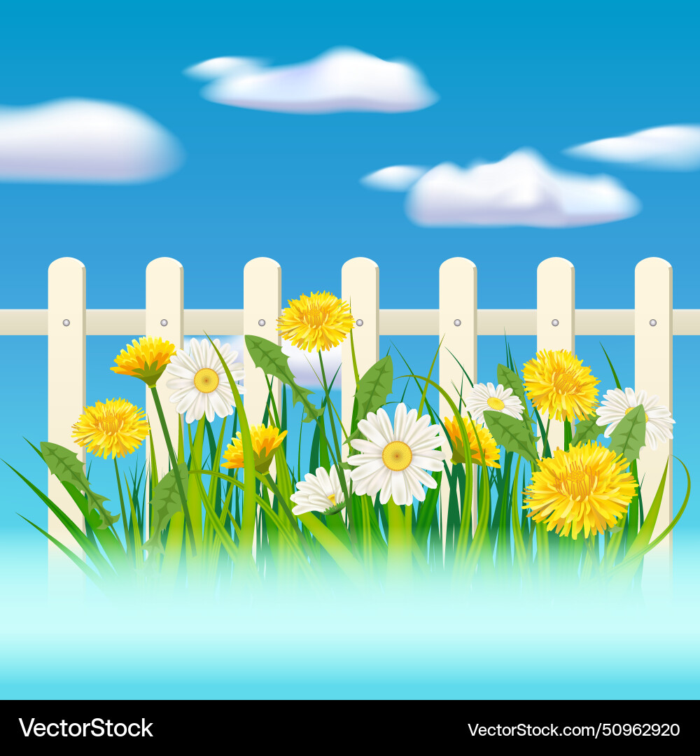 Spring summer banner green grass daisy Royalty Free Vector