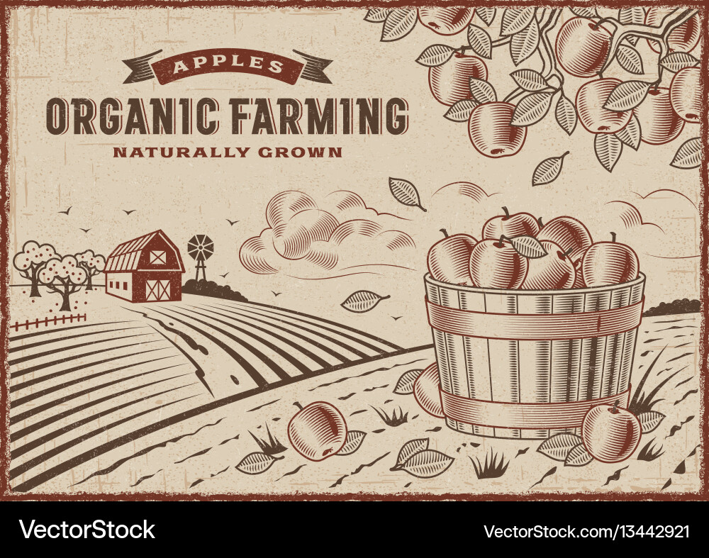 Apple organic farming landscape Royalty Free Vector Image