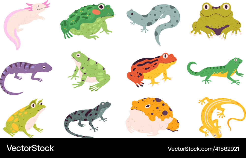Tropical colorful decorative amphibian frogs Vector Image