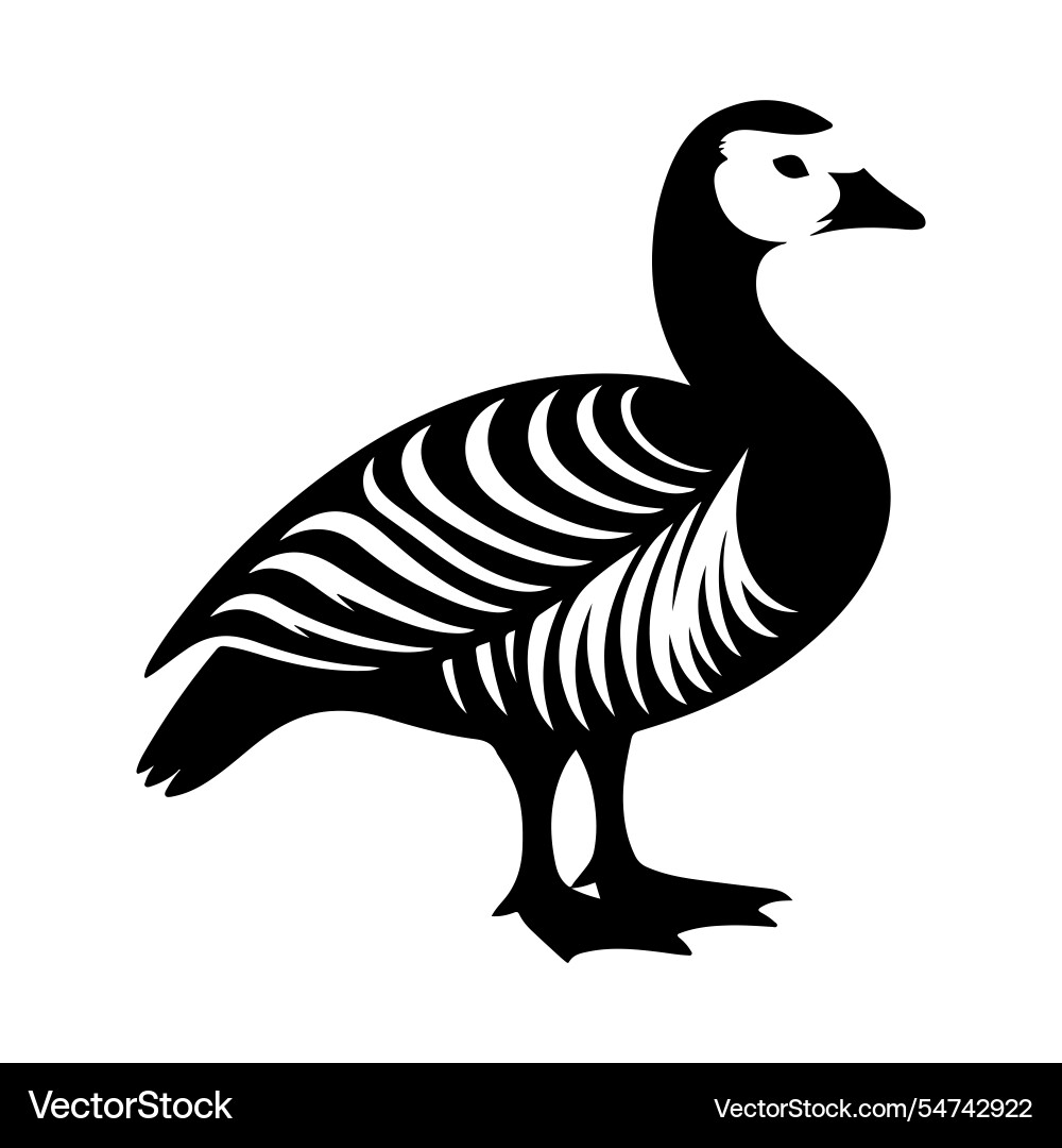Barnacle goose silhouette - perfect for graphic Vector Image