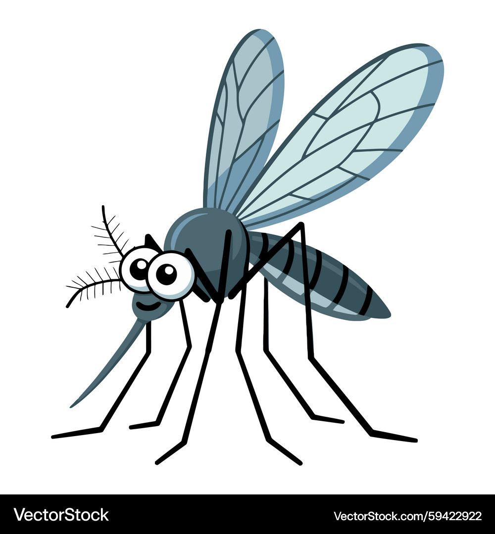 Mosquito Royalty Free Vector Image - VectorStock
