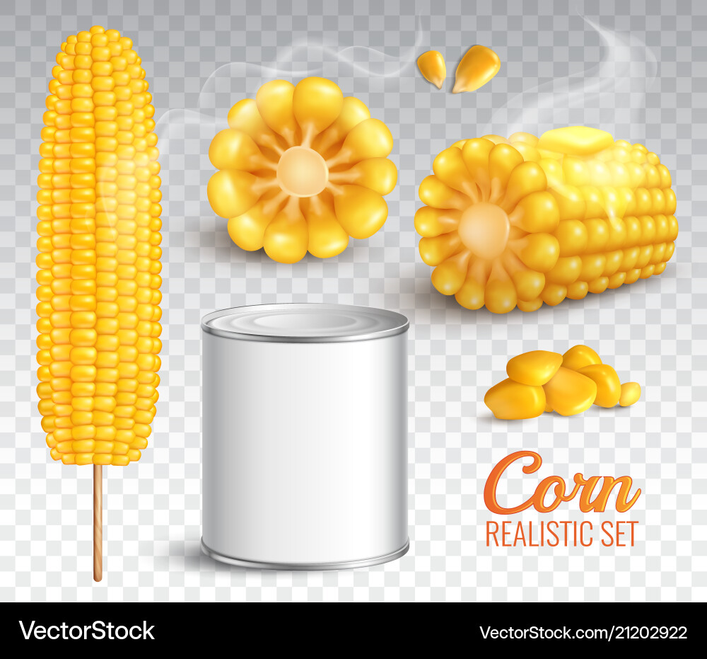 Realistic corn transparent set Royalty Free Vector Image