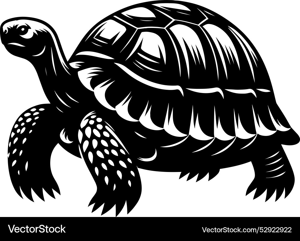 Sea turtle silhouette isolated on a white Vector Image
