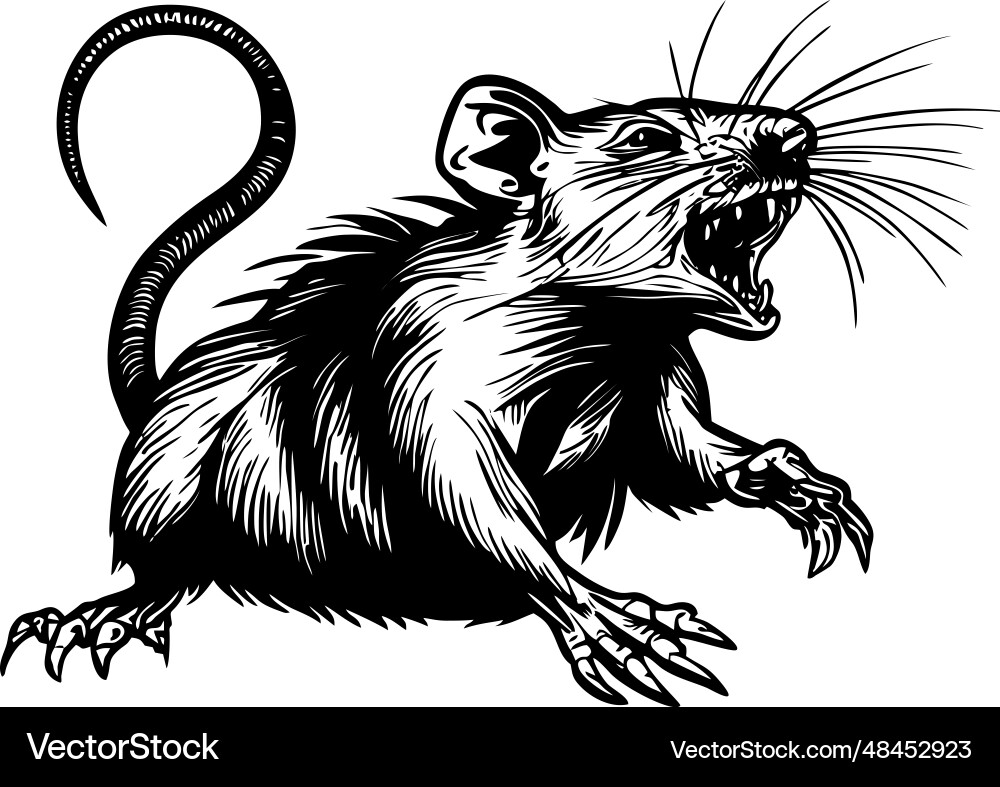 Evil Rat Drawing Stream This Song Was Made By A Very Evil Rat By
